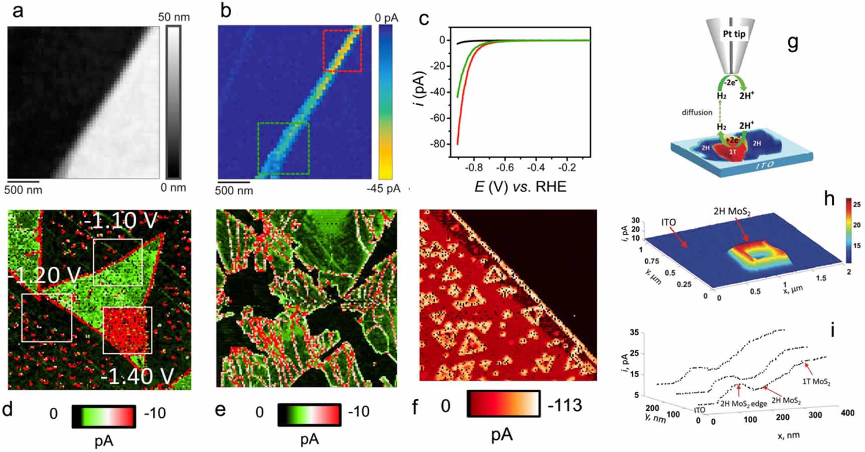 Scanning electrochemical probe microscopy investigation of two ...