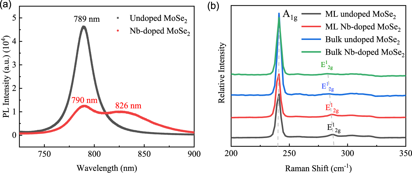 Effect of niobium doping on excitonic dynamics in MoSe2 - IOPscience