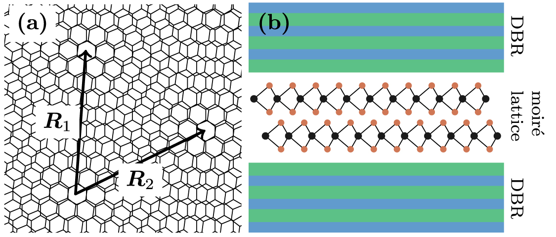 Theory of phonon sidebands in the absorption spectra of moiré exciton ...