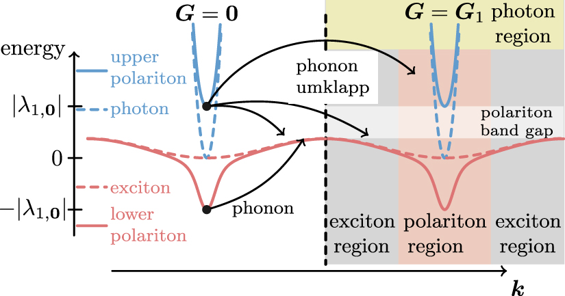 Theory of phonon sidebands in the absorption spectra of moiré exciton ...