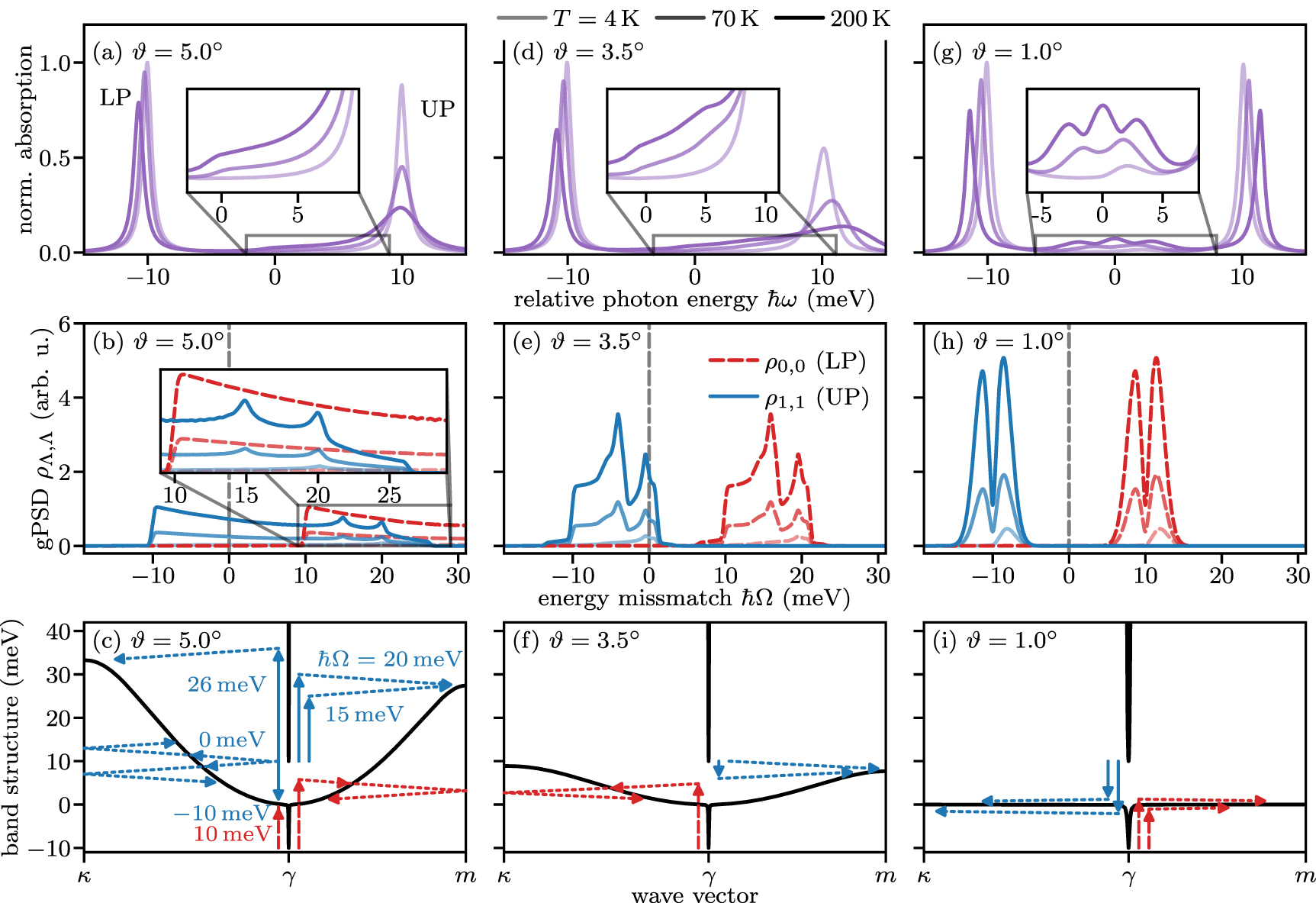 Theory of phonon sidebands in the absorption spectra of moiré exciton ...