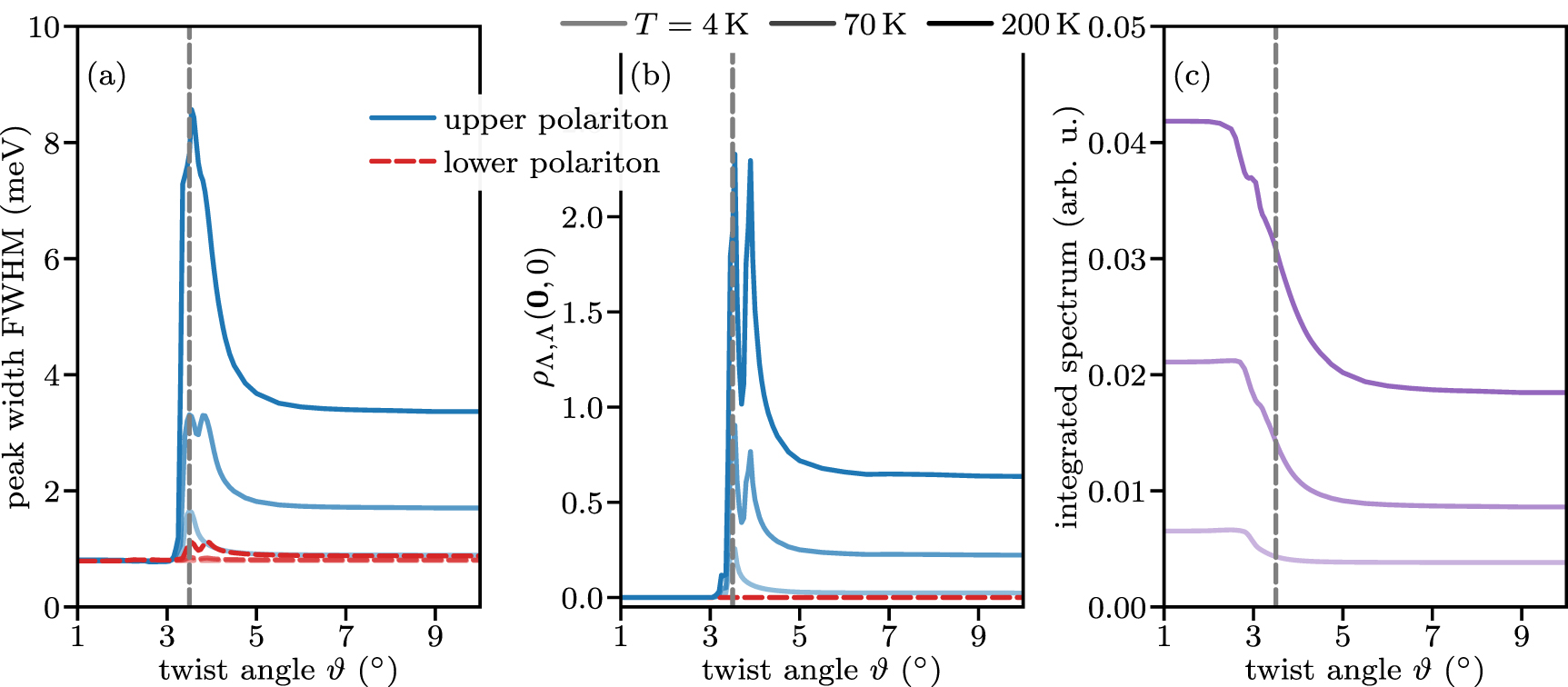 Theory of phonon sidebands in the absorption spectra of moiré exciton ...