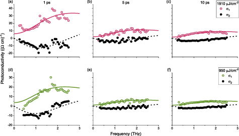 Photoexcited charge carrier dynamics and electronic properties of two ...
