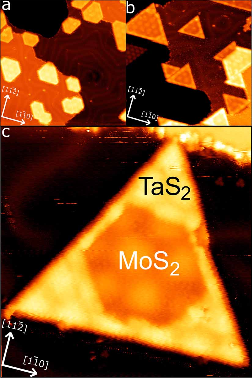 Dislocation-free two-dimensional concentric lateral heterostructures ...