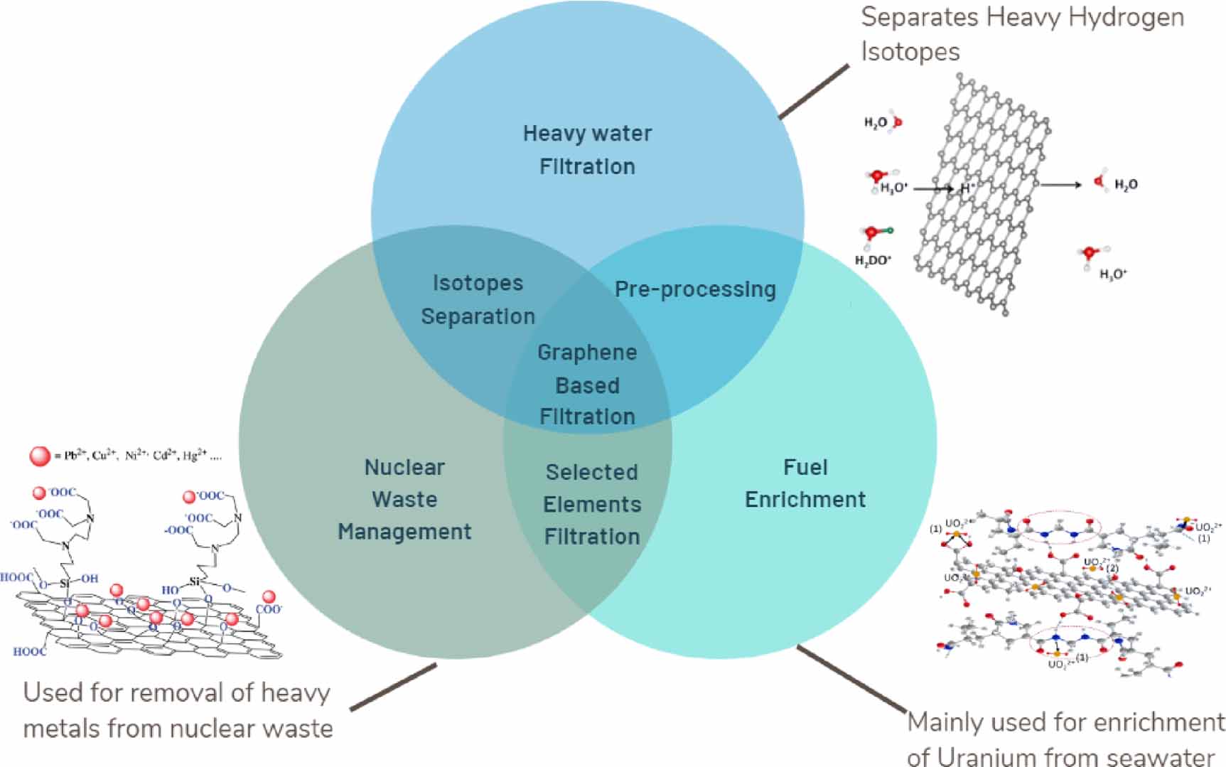 Graphene-nuclear nexus: a critical review - IOPscience