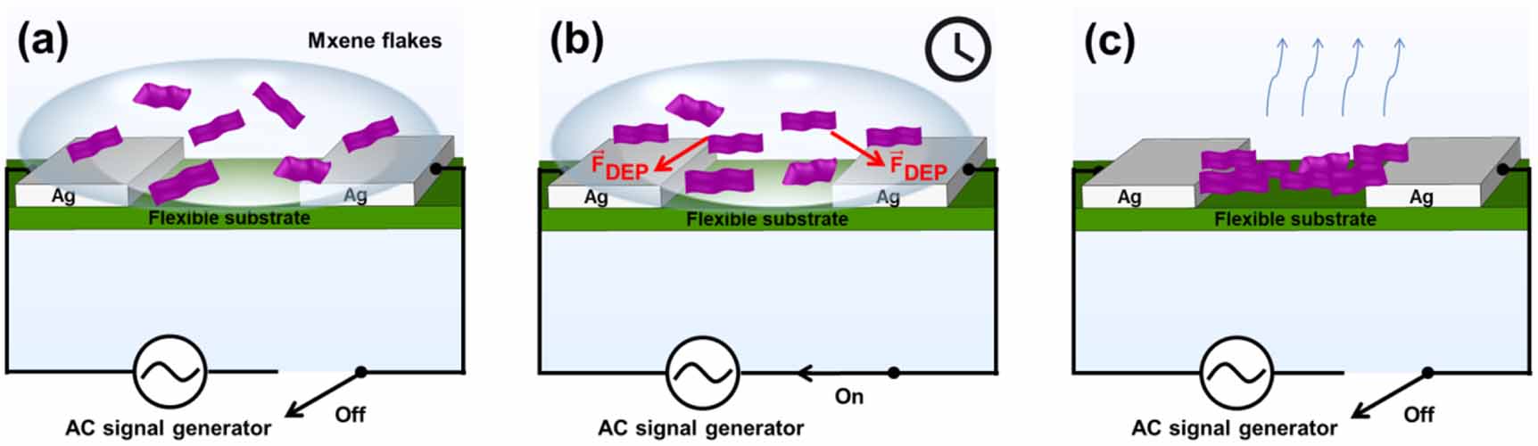 Dielectrophoretic direct assembling of Mxene flakes at the level of ...