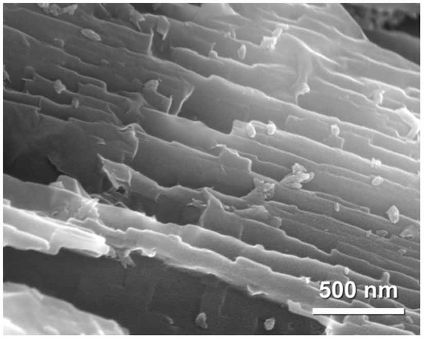 Dielectrophoretic direct assembling of Mxene flakes at the level of ...