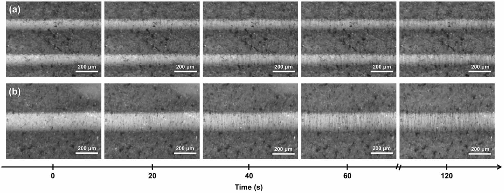 Dielectrophoretic direct assembling of Mxene flakes at the level of ...