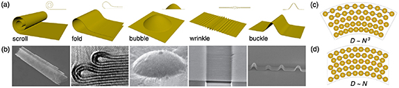Mechanical properties of transition metal dichalcogenides: towards high ...
