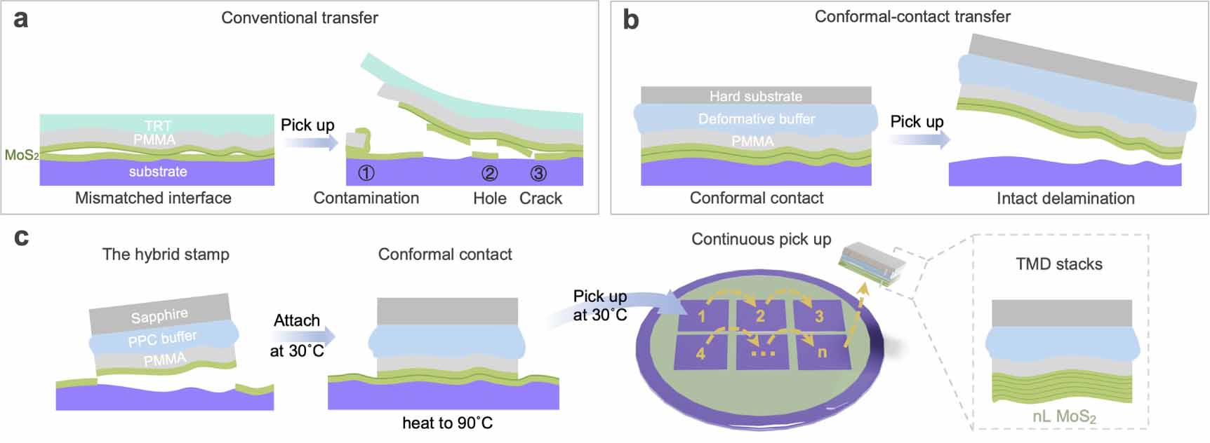 Multiple conformal-contact transfer of large-area crack-free transition ...