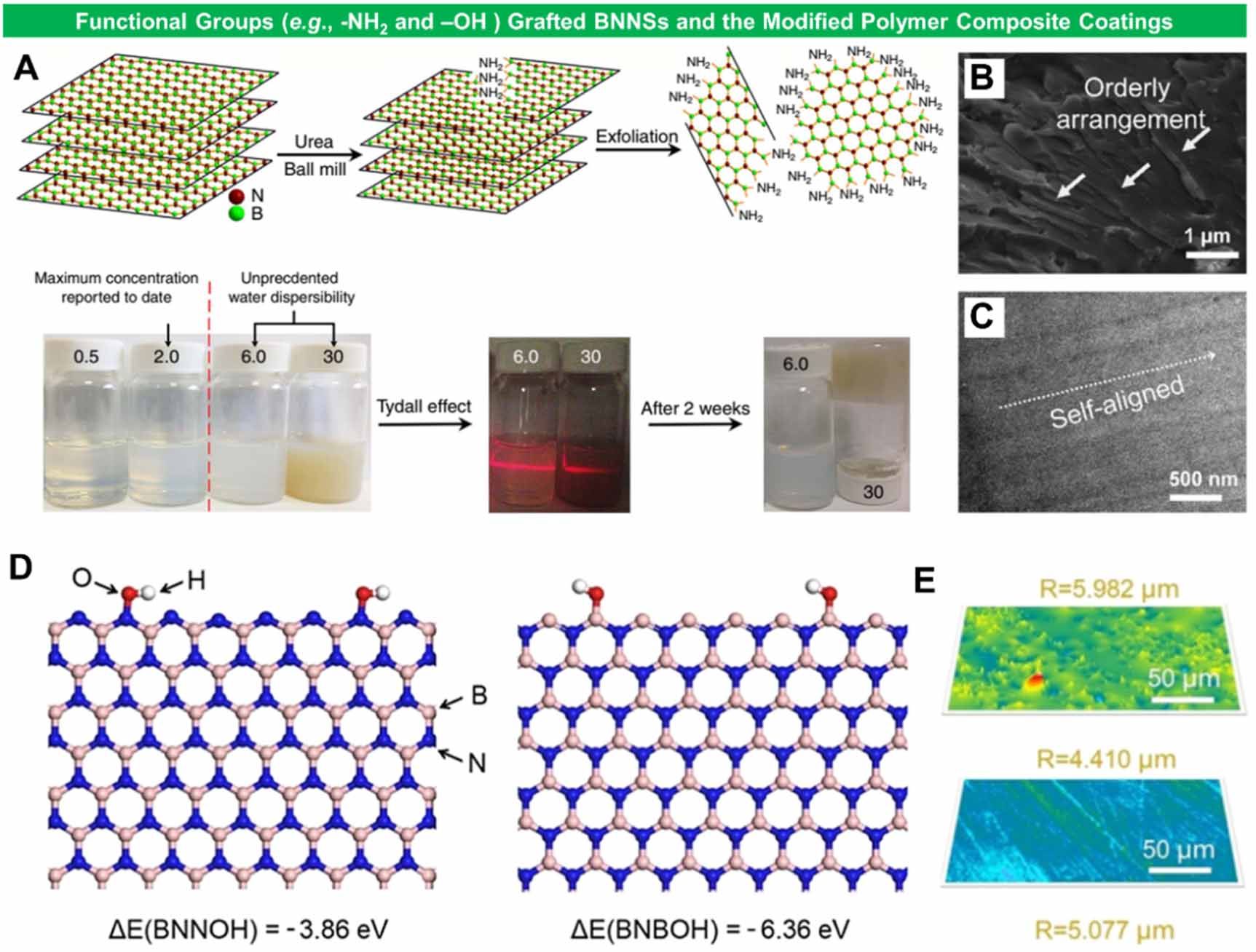 Surface engineering strategies for realizing hexagonal boron nitride ...