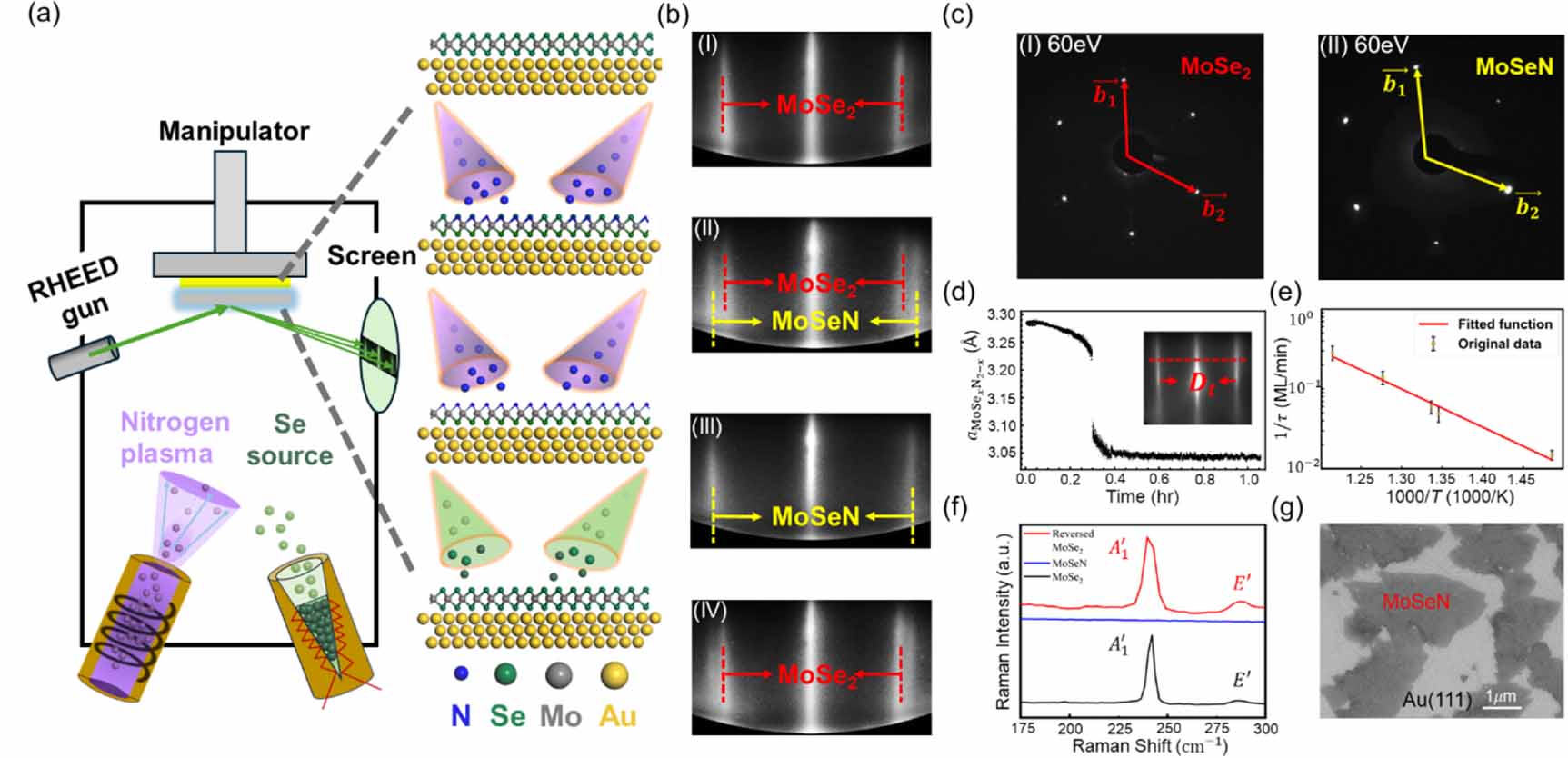 Single-layer MoSeN – a synthetic Janus two-dimensional transition-metal ...