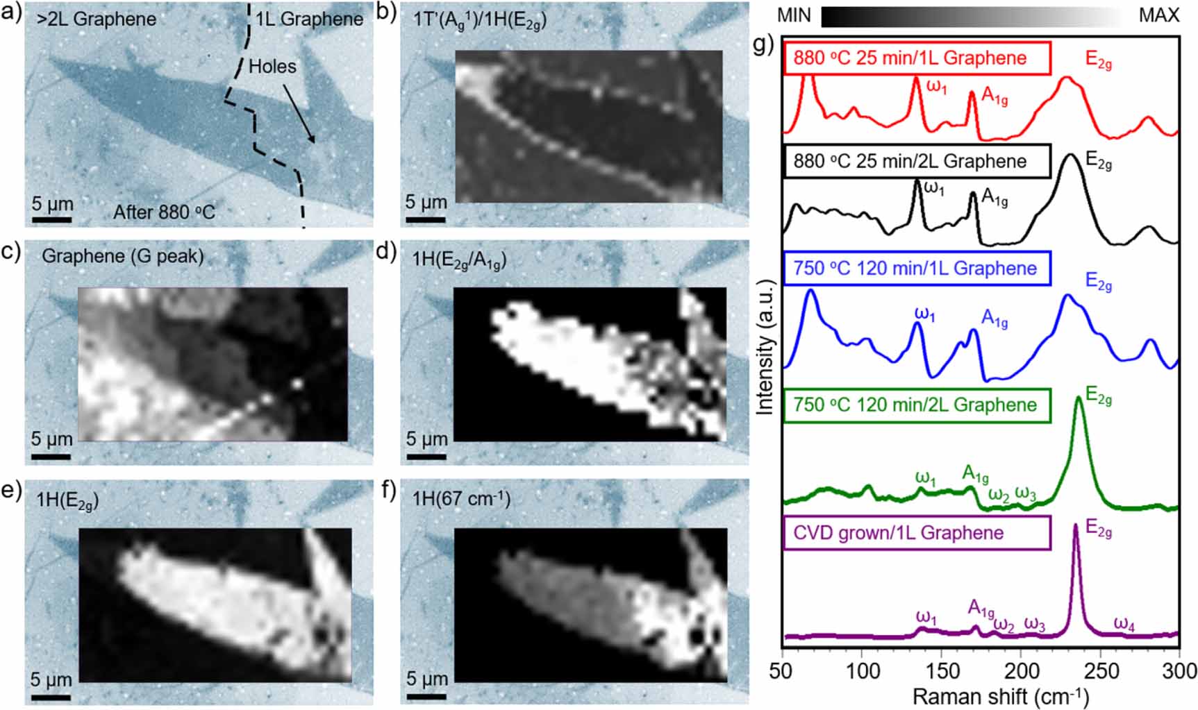 Reversible semimetal–semiconductor phase transition in CVD-grown ...