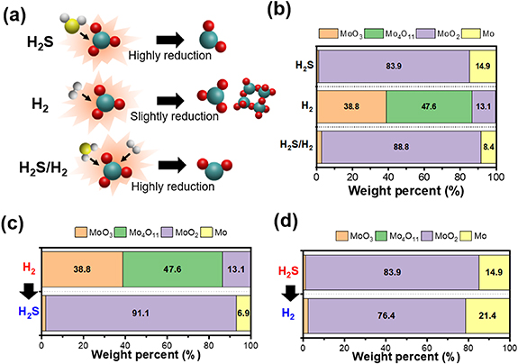 Unveiling the CVD growth mechanism of MoS2: exploring precursors ...