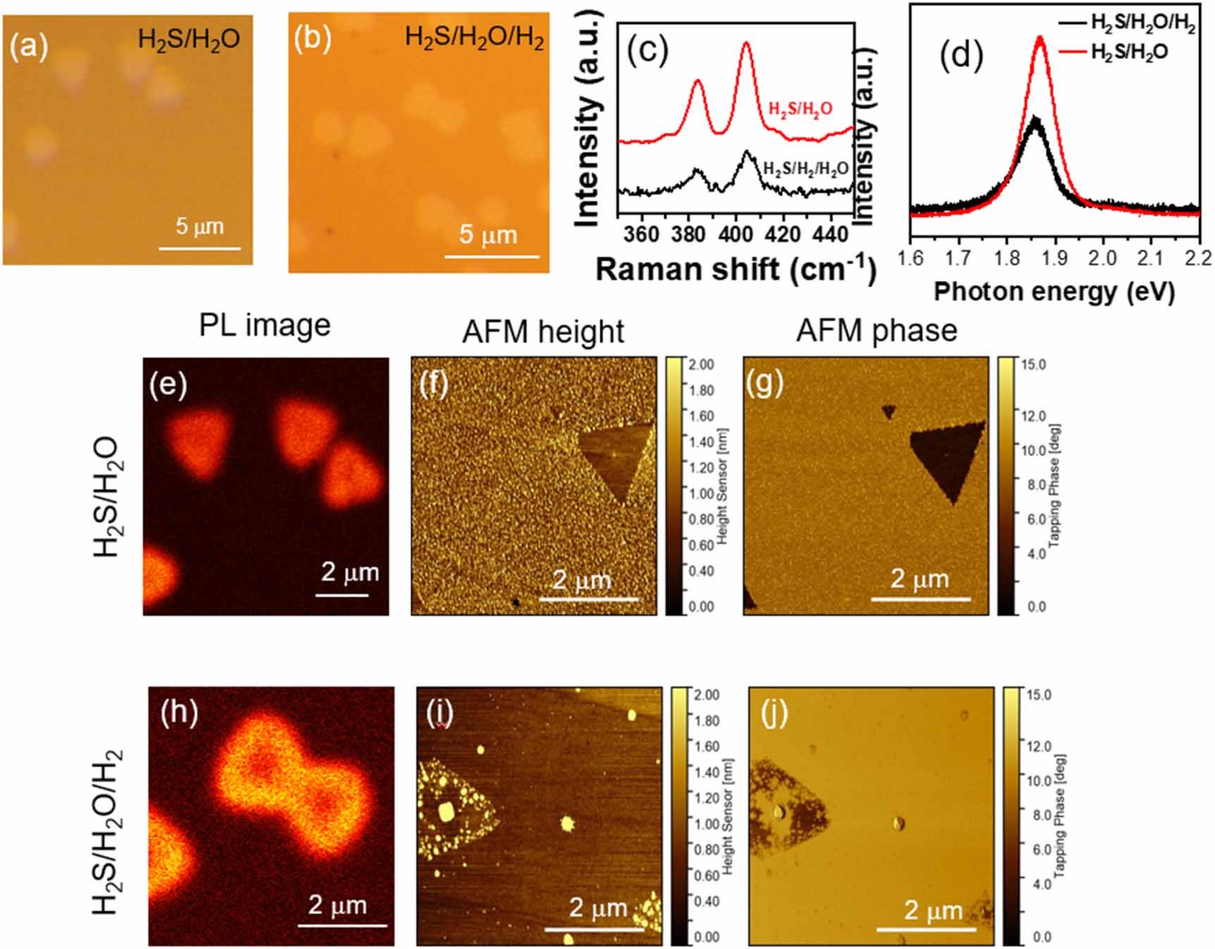Unveiling the CVD growth mechanism of MoS2: exploring precursors ...