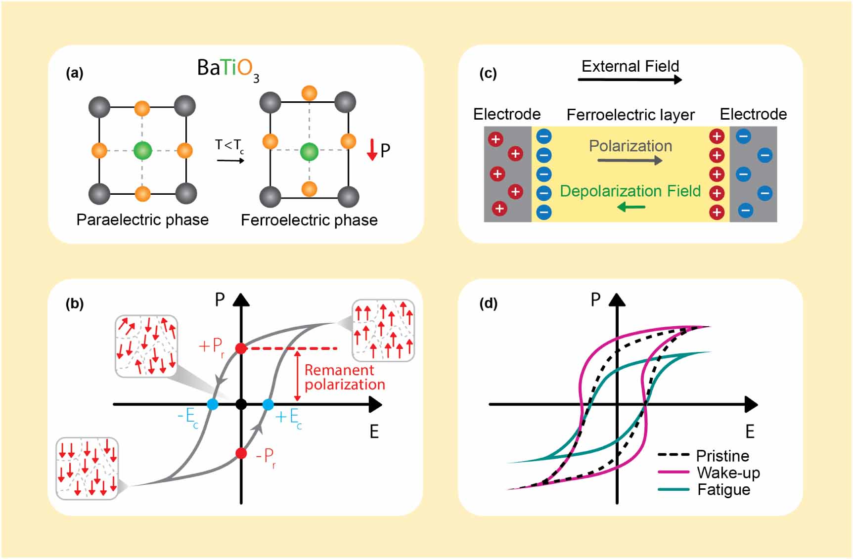 Thin ferroelectric materials for memory devices - IOPscience