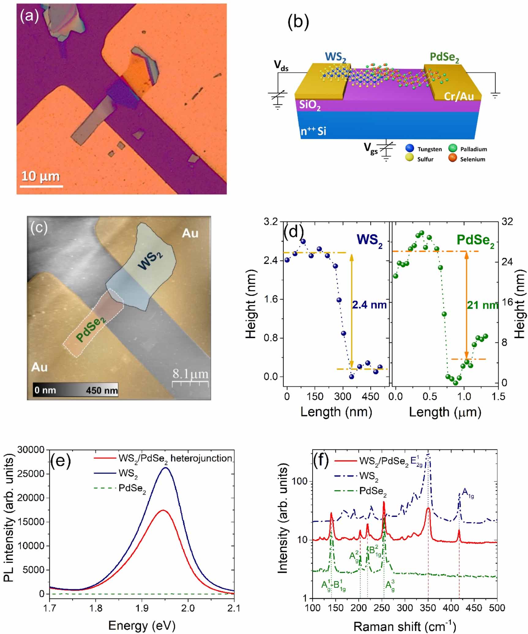 Van der Waals WS2/PdSe2 heterostructure as a visible-light ...