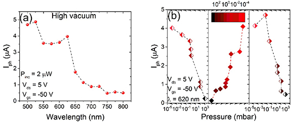 Van der Waals WS2/PdSe2 heterostructure as a visible-light ...