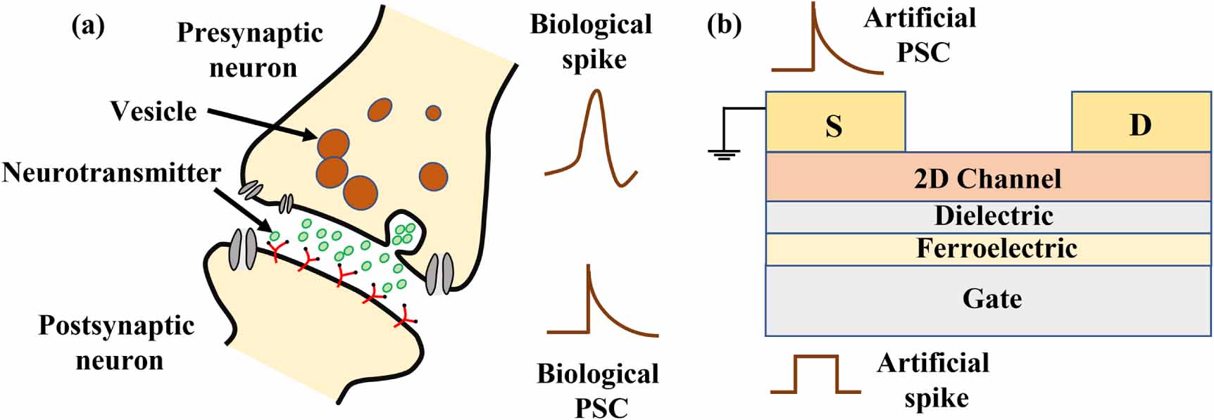Two-dimensional ferroelectric materials and their applications - IOPscience