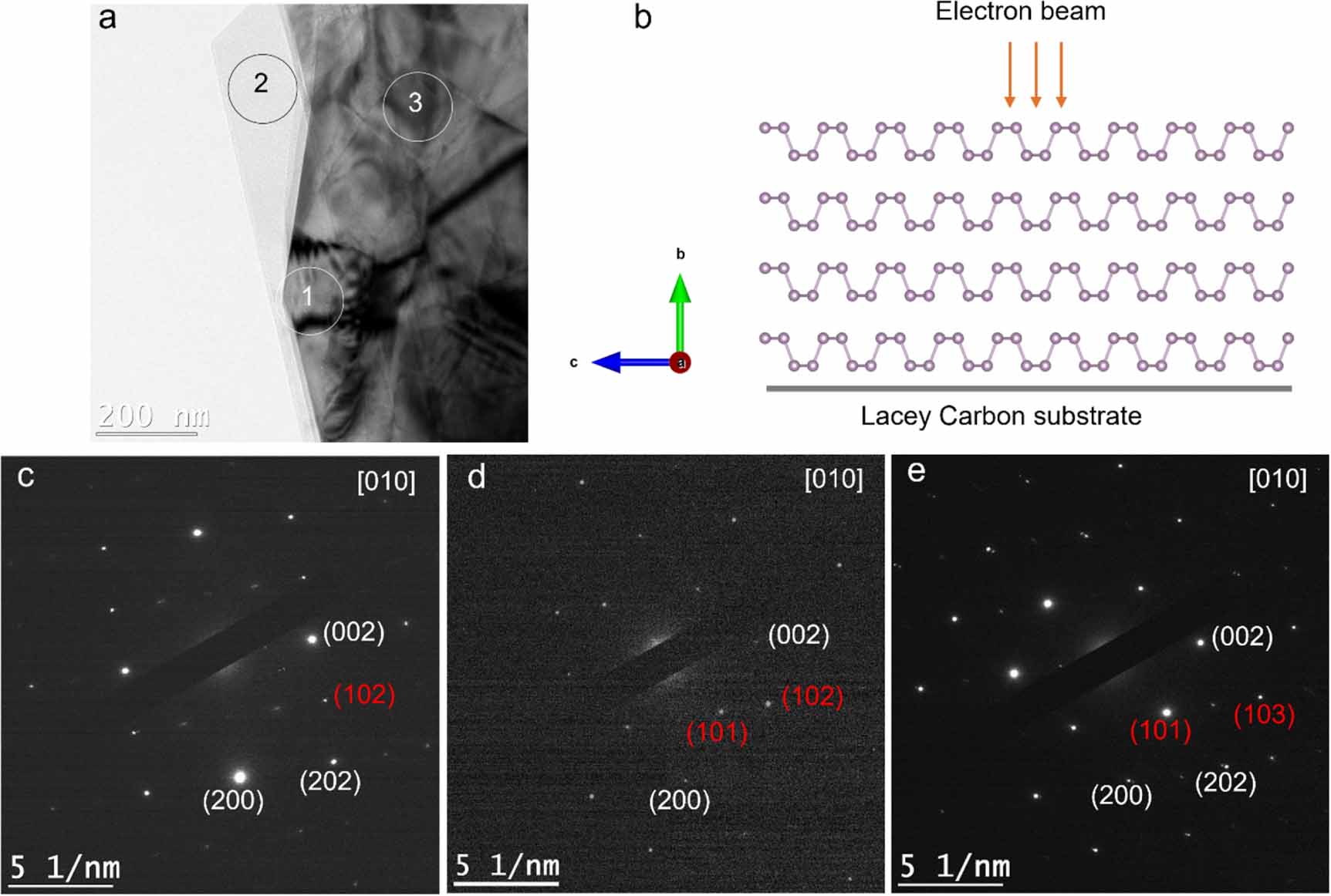 Dynamic electron scattering as the origin of forbidden reflections from ...