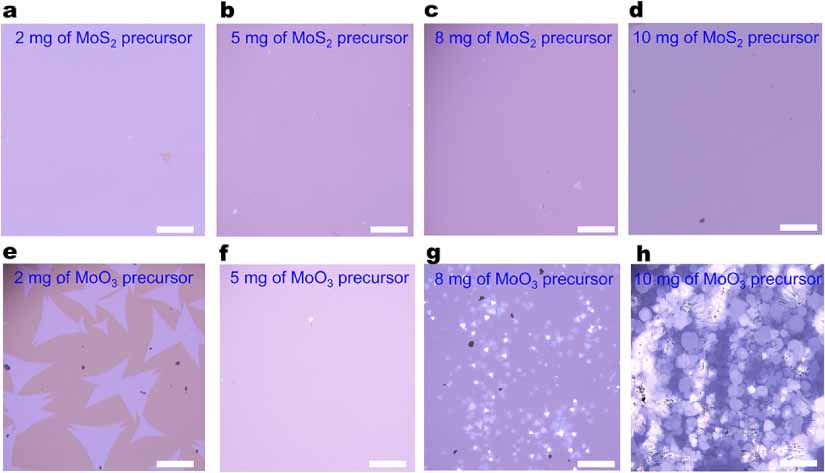 All-on-surface two-dimensional confined growth of wafer-scale MoS2 ...