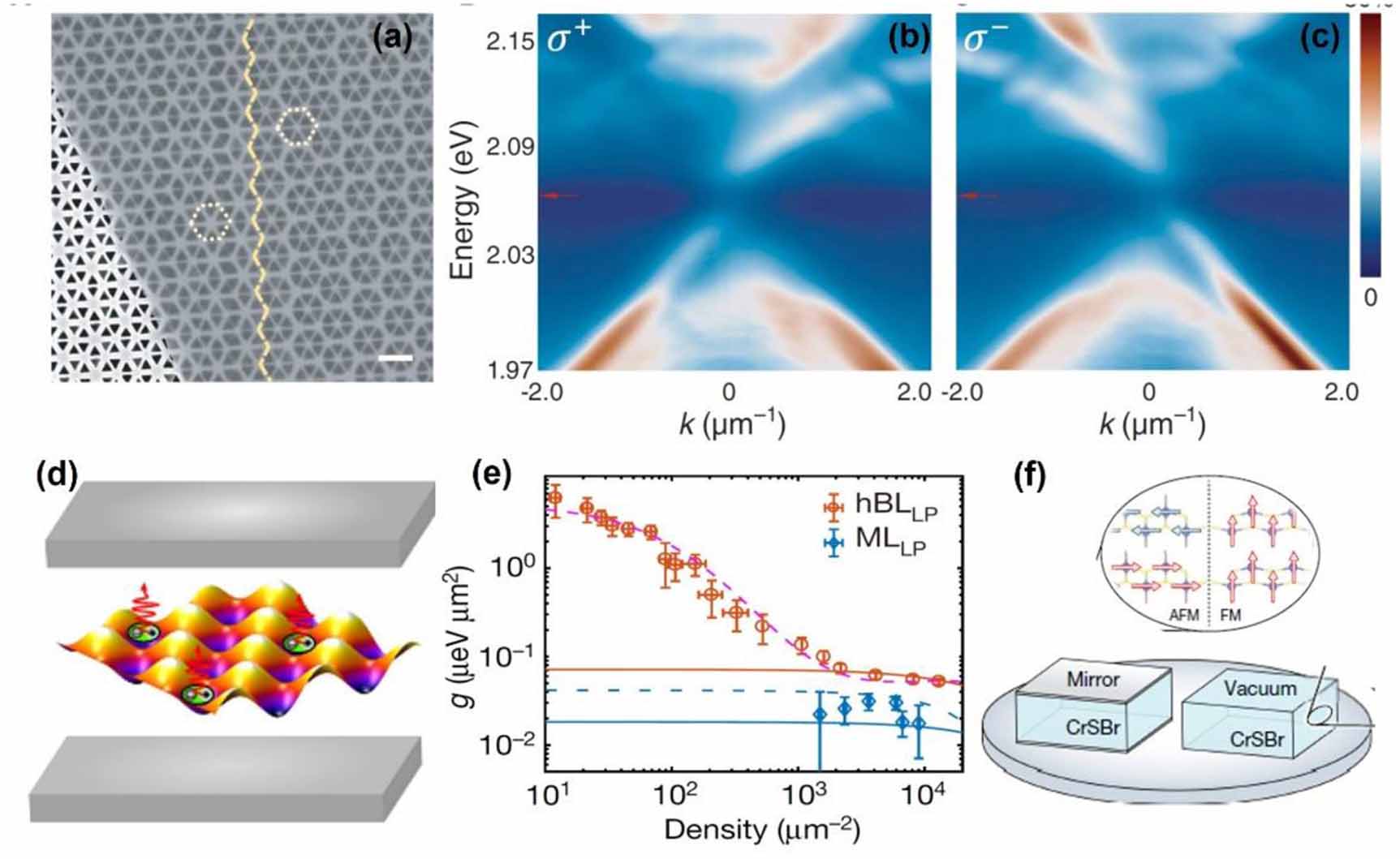 The 2D materials roadmap - IOPscience