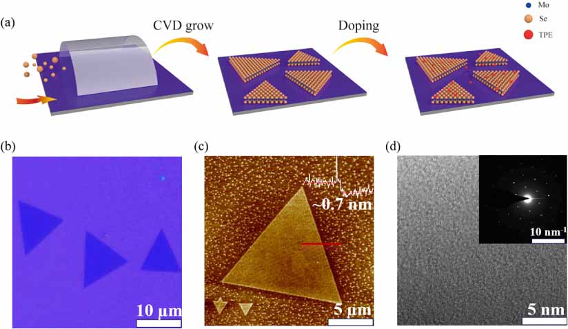 Surface charge transfer doping of monolayer MoSe2 for defect detection ...