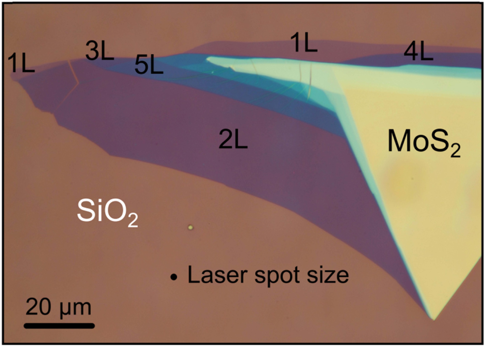Multiwavelength excitation Raman scattering analysis of bulk and two ...