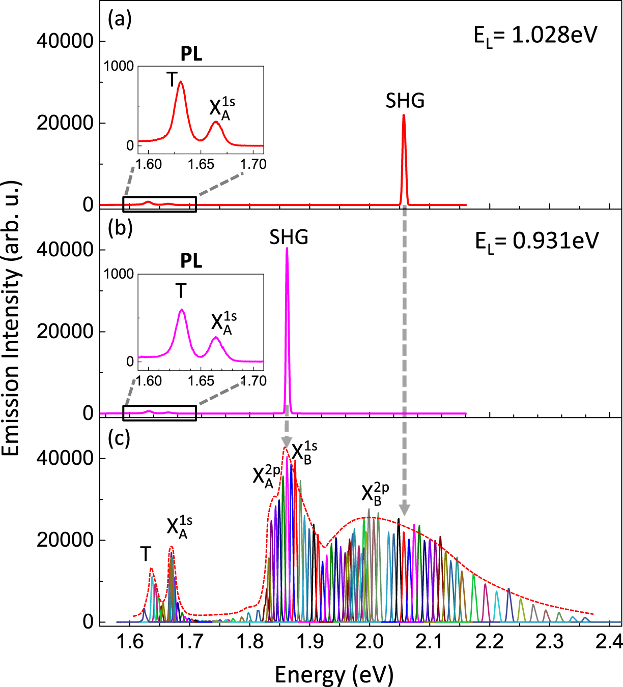 Exciton states in monolayer MoSe2: impact on interband transitions ...
