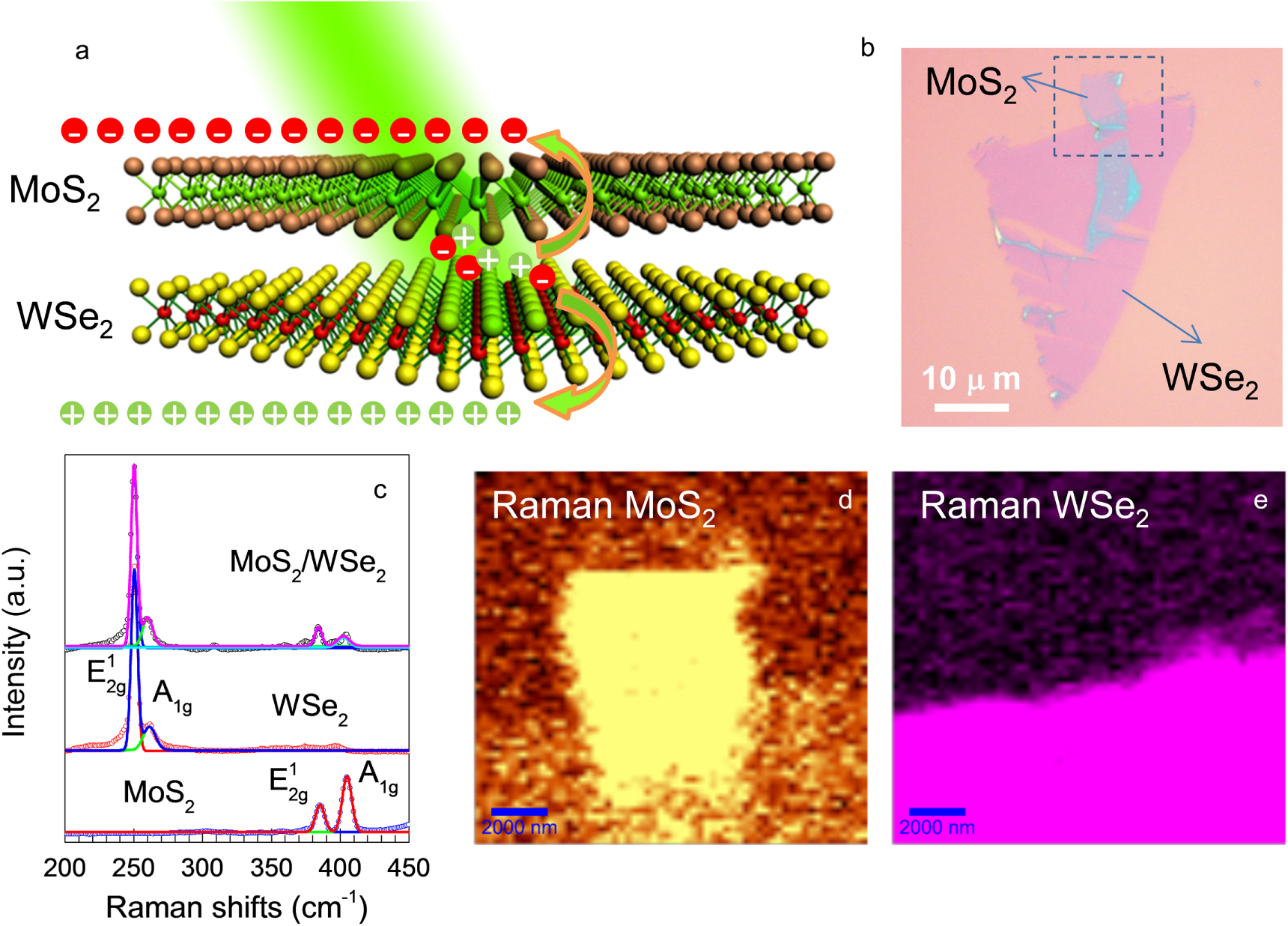 Ultrafast charge transfer in MoS2/WSe2 p–n Heterojunction - IOPscience