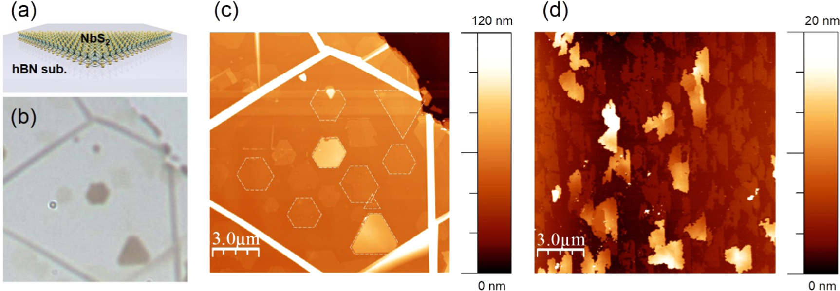 Two-dimensional metallic NbS2: growth, optical identification and ...