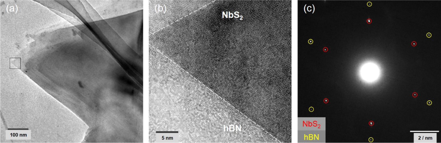 Two-dimensional metallic NbS2: growth, optical identification and ...