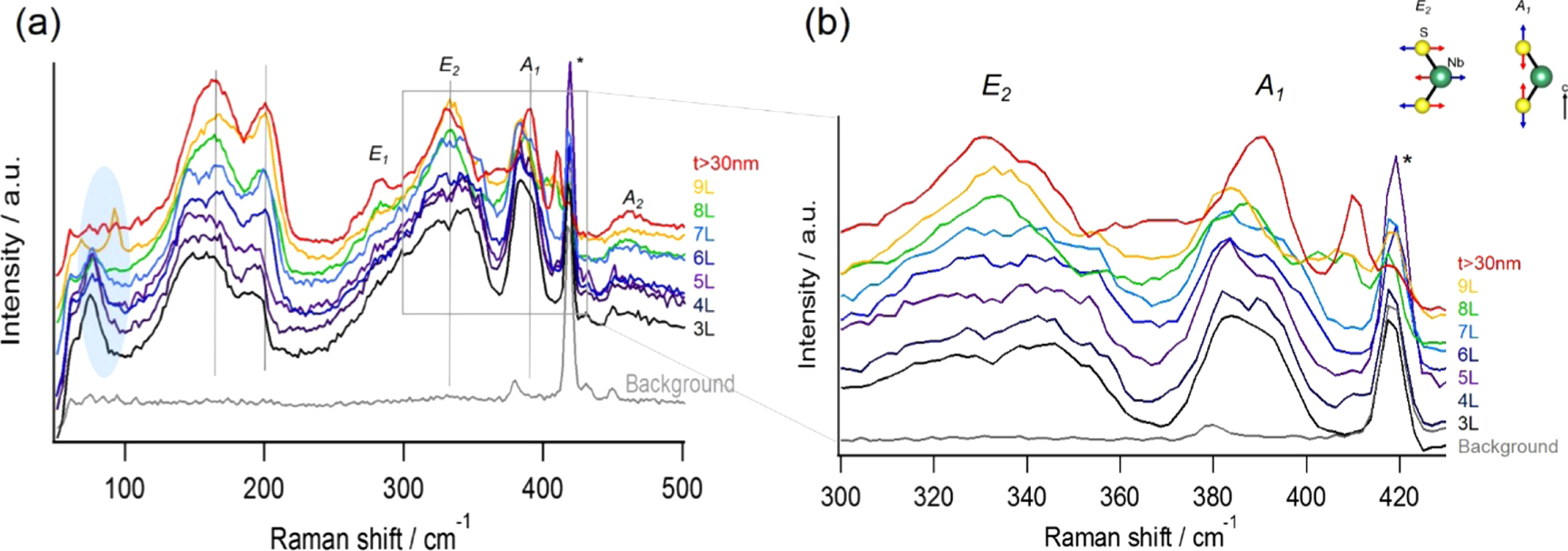 Two-dimensional metallic NbS2: growth, optical identification and ...