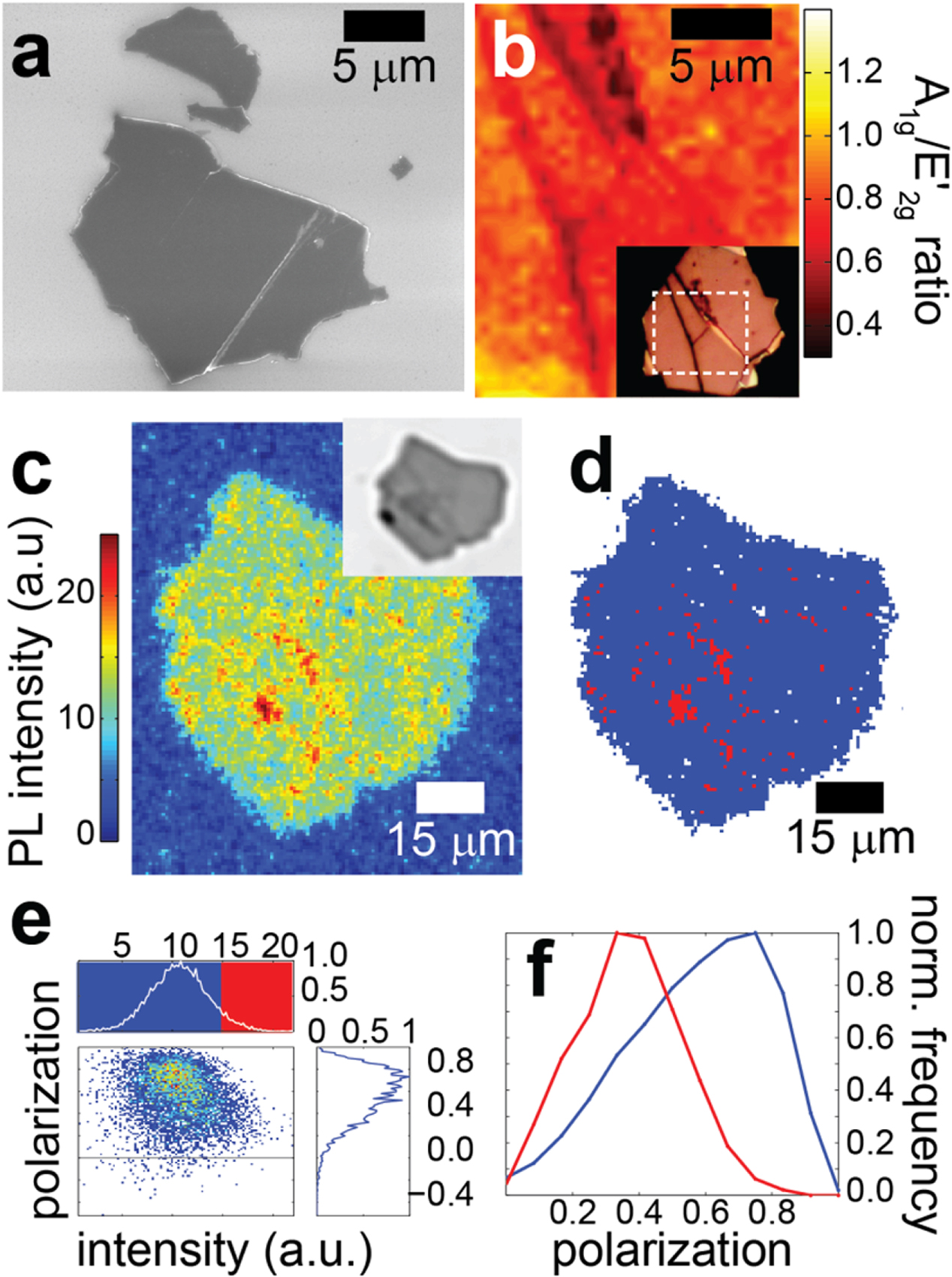Scalable synthesis of WS2 on graphene and h-BN: an all-2D platform for ...