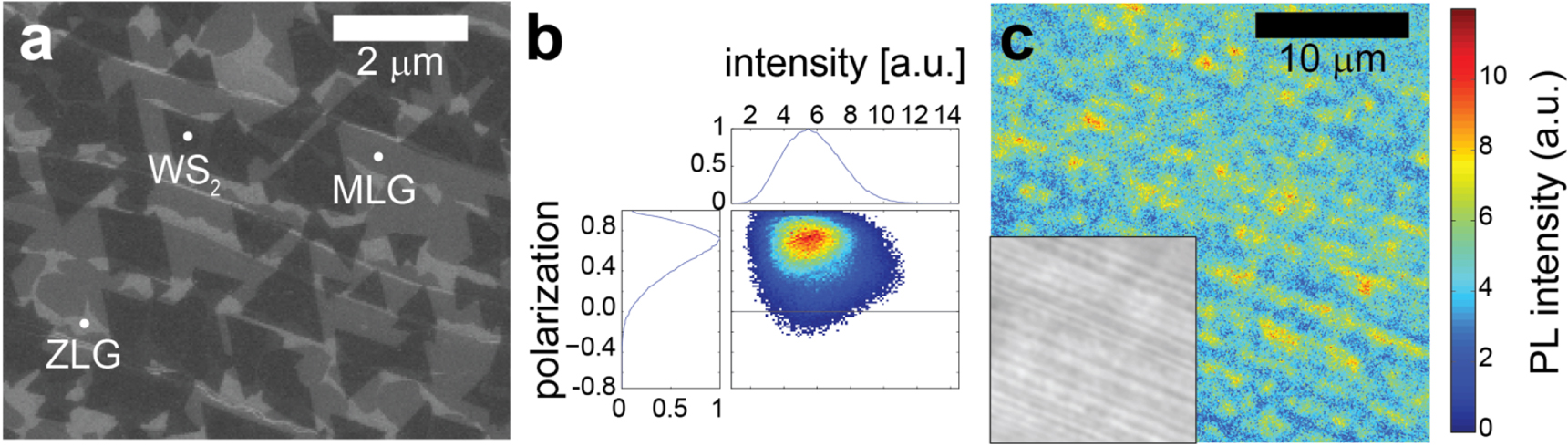 Scalable synthesis of WS2 on graphene and h-BN: an all-2D platform for ...