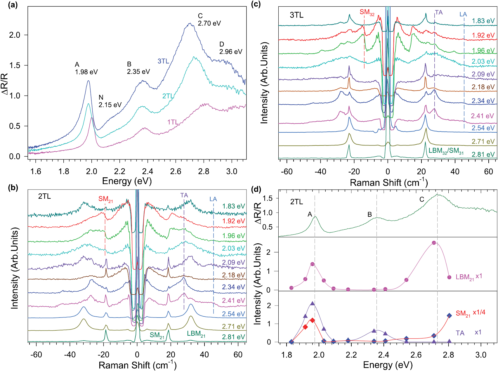 Observation of forbidden phonons, Fano resonance and dark excitons by ...