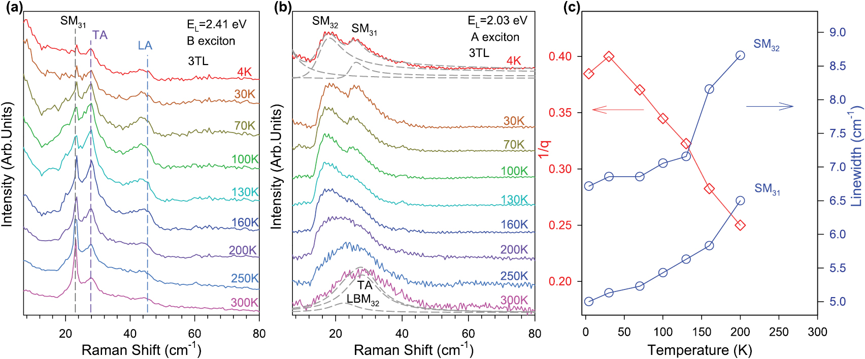 Observation of forbidden phonons, Fano resonance and dark excitons by ...