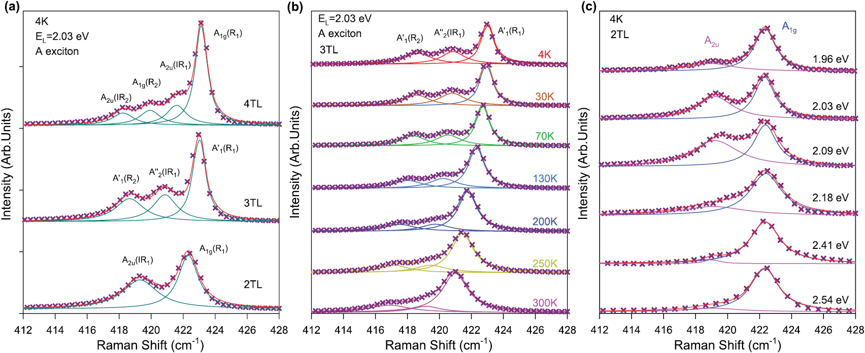 Observation of forbidden phonons, Fano resonance and dark excitons by ...