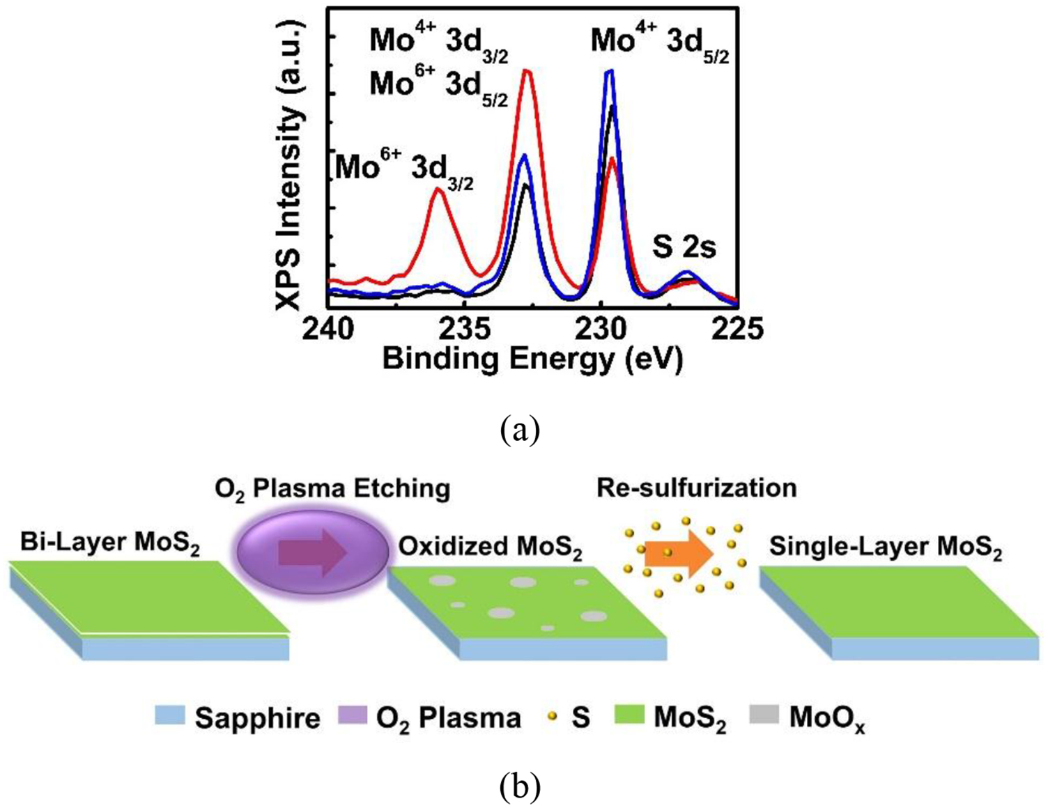 Atomic layer etchings of transition metal dichalcogenides with post ...