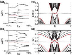 Square selenene and tellurene: novel group VI elemental 2D materials ...