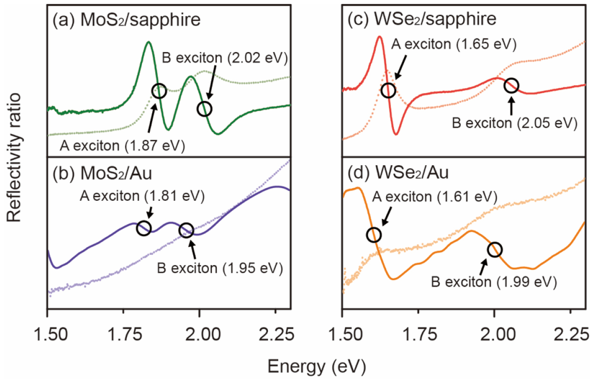 Direct determination of monolayer MoS2 and WSe2 exciton binding ...