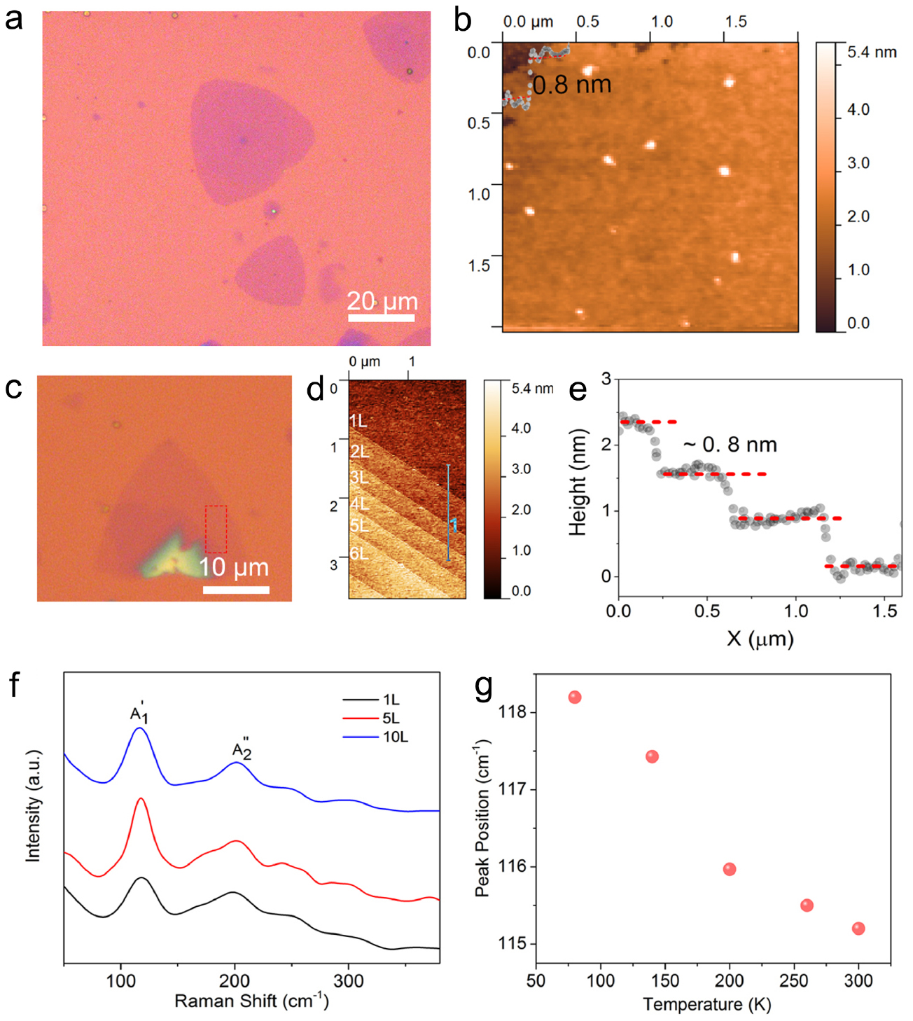 InSe monolayer: synthesis, structure and ultra-high second-harmonic ...