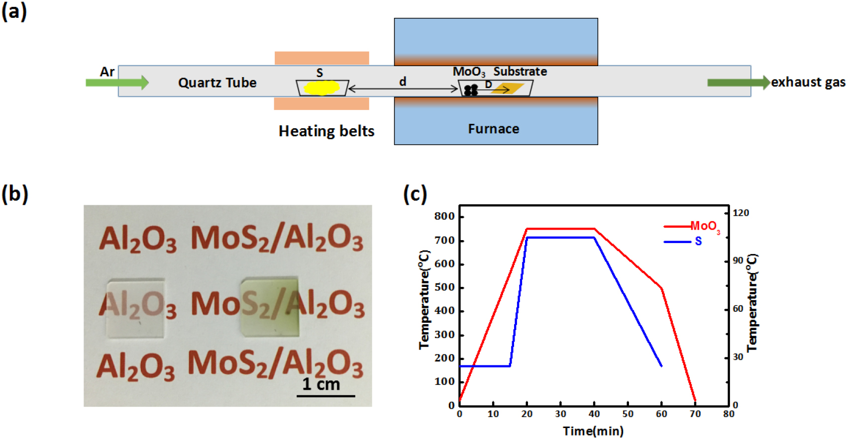 Controlling the dendritic structure and the photo-electrocatalytic ...