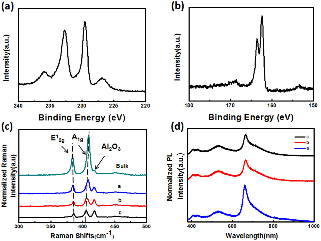 Controlling the dendritic structure and the photo-electrocatalytic ...