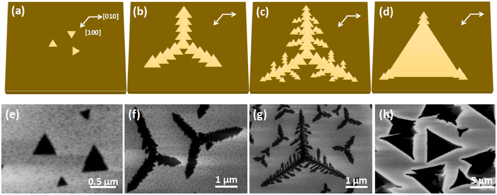 Controlling the dendritic structure and the photo-electrocatalytic ...