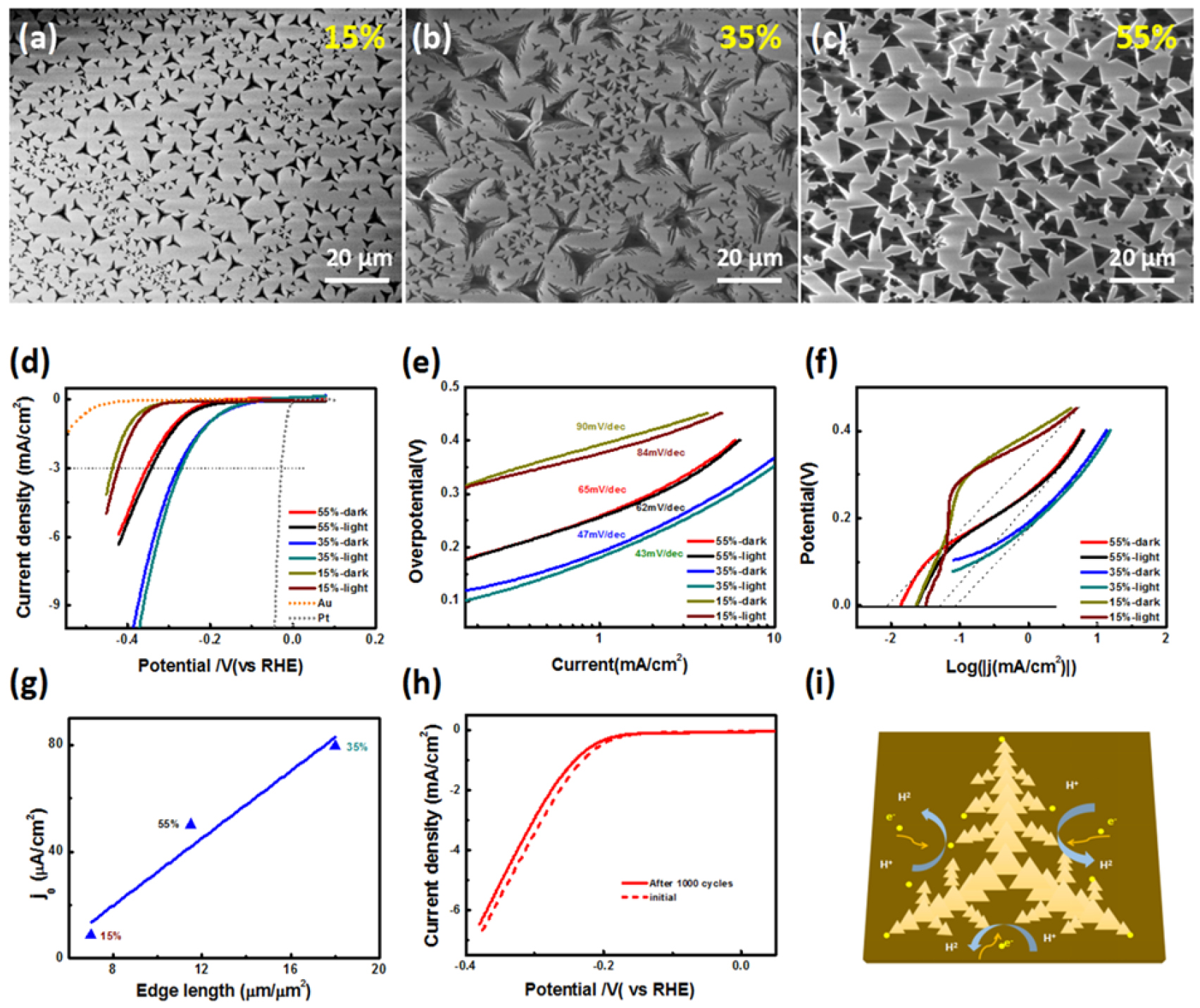 Controlling the dendritic structure and the photo-electrocatalytic ...