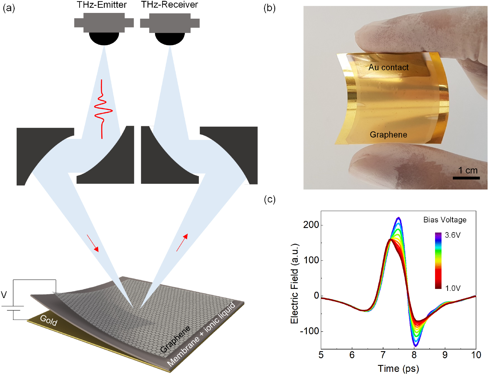 Graphene based terahertz phase modulators - IOPscience
