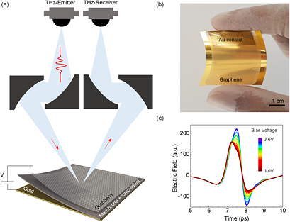 Graphene based terahertz phase modulators - IOPscience