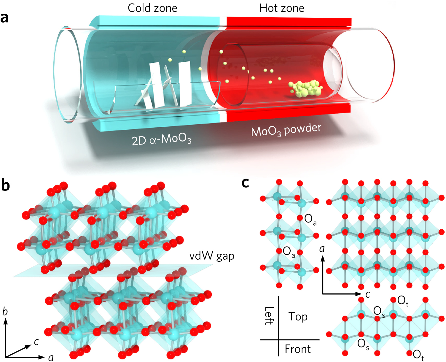 Centimeter-sized 2D α-MoO3 single crystal: growth, Raman anisotropy ...