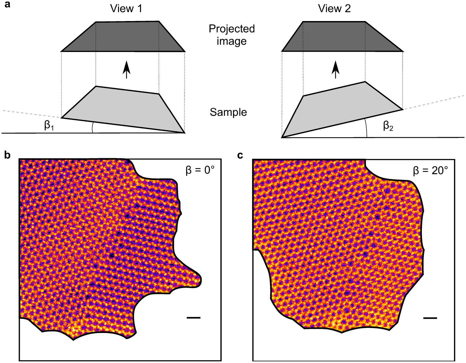 Revealing the 3D structure of graphene defects - IOPscience